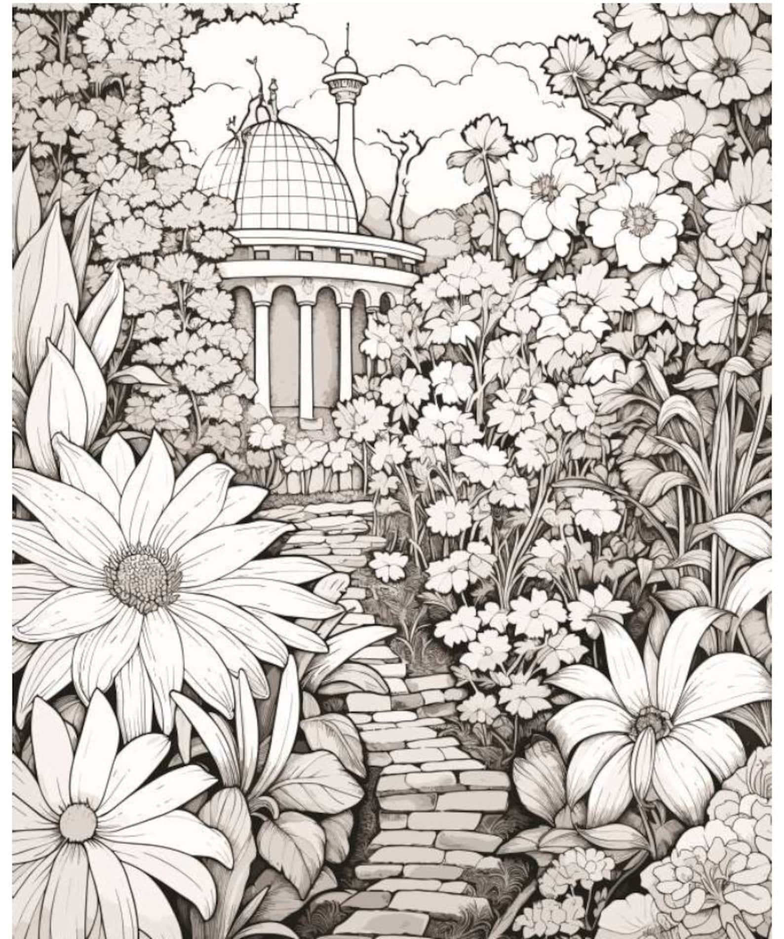 Secret-garden-coloring-pages (printable/kdp) - Etsy