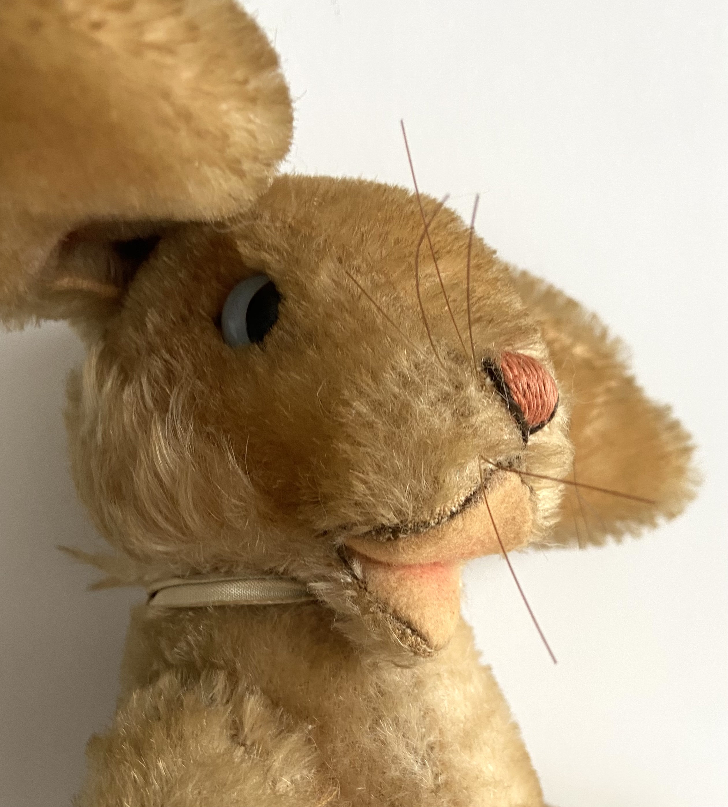 Rare Steiff Cuddly Toy Lulac Rabbit Button in Ear Knopf Im Ohr HTF ...