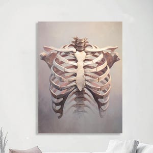 Rib Cage Anatomy Canvas Print – Abstract Human Skeleton Wall Art ...