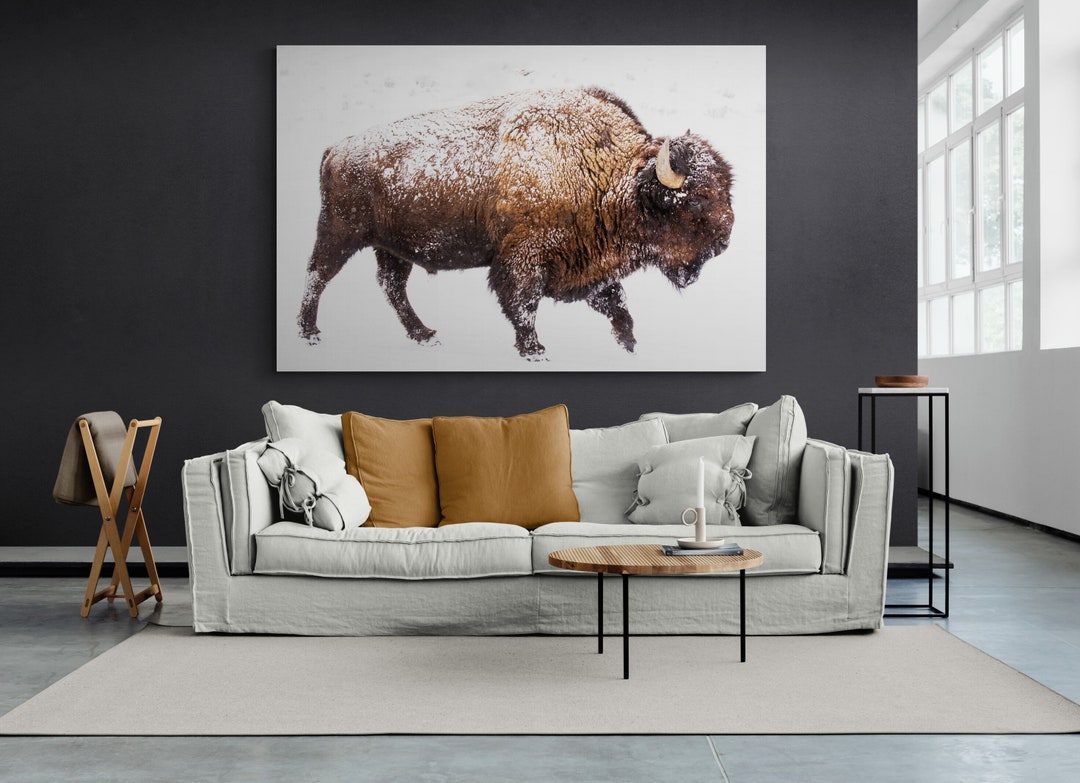 Large Art Canvas Big Bison. Wall Decor for Home and Office Buffalo ...