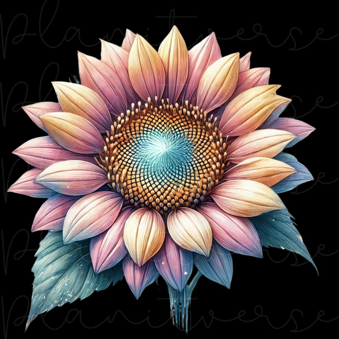 Pastel Sunflower, Sunflower PNG, Sunflower Gifts, Floral Png, Flower ...
