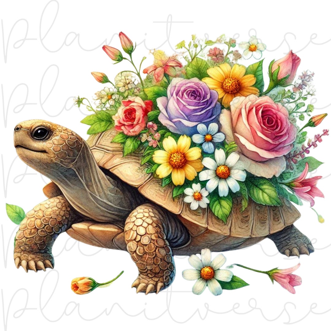 Turtle PNG, Turtle With Flower PNG, Floral Turtle Png, Turtle Clipart ...