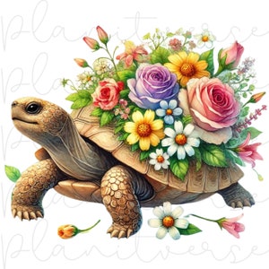 Turtle PNG, Turtle With Flower PNG, Floral Turtle Png, Turtle Clipart ...