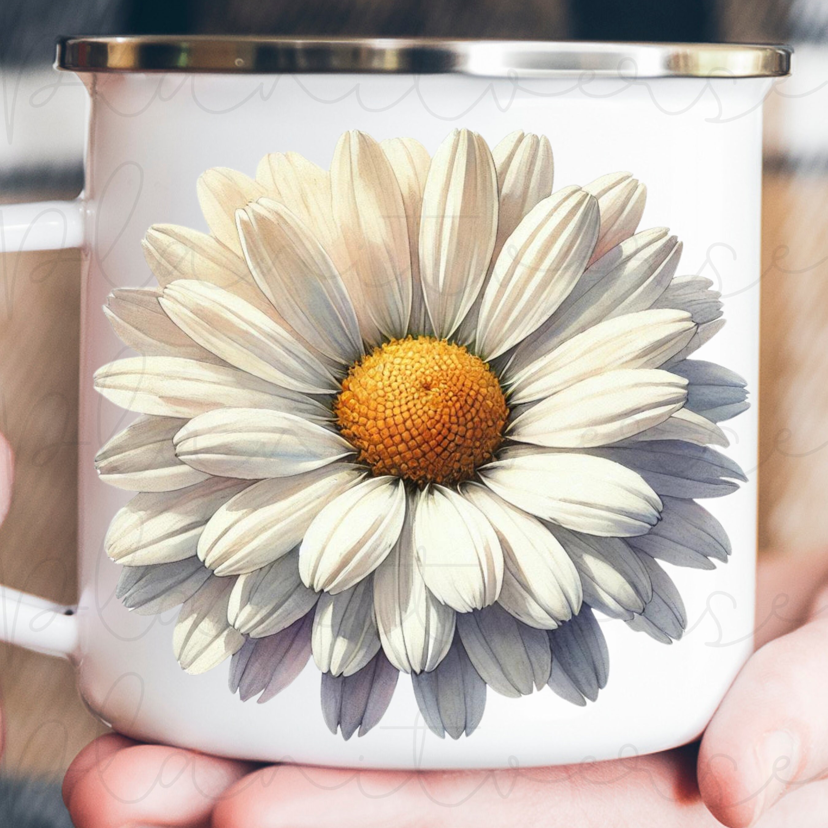Daisy, Daisy PNG, Daisy Gifts, Floral Png, Flower Png, Daisy ...