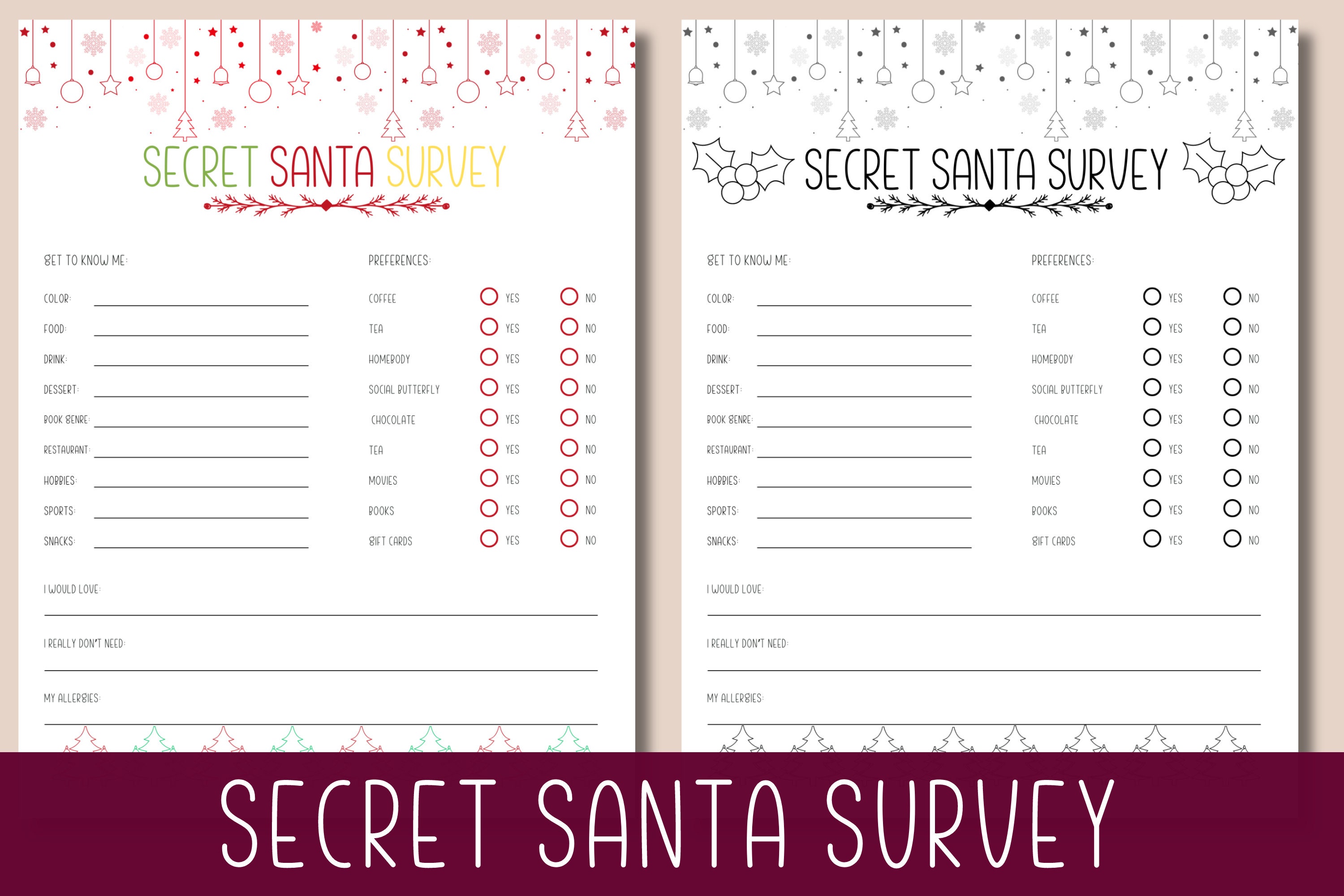 Secret Santa Survey, Secret Santa Questionnaire Printable, Holiday Gift ...