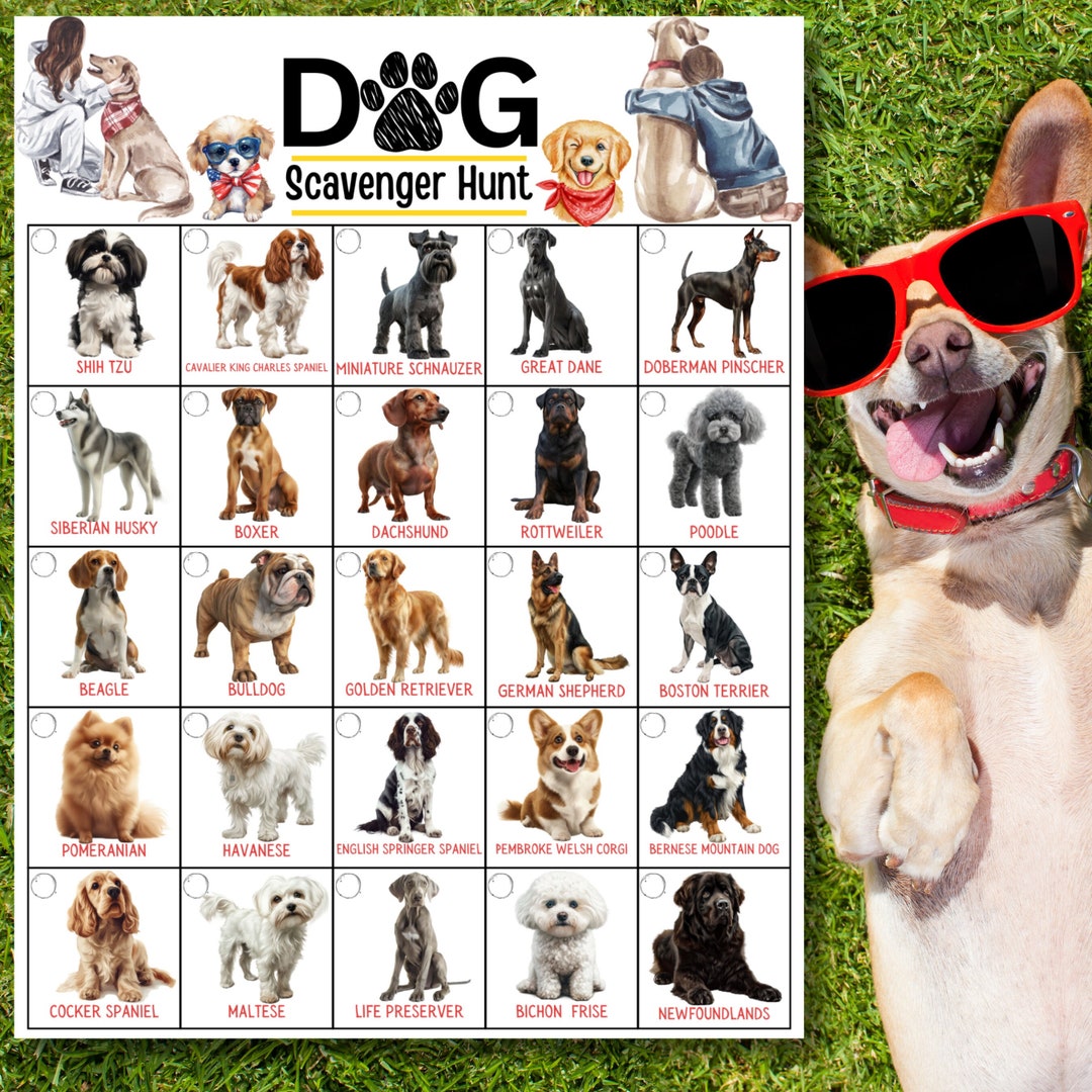 Dog Scavenger Hunt for Kids, Scavenger Hunt, Scavenger Hunt for Kids Outdoors, Dog Scavenger ...