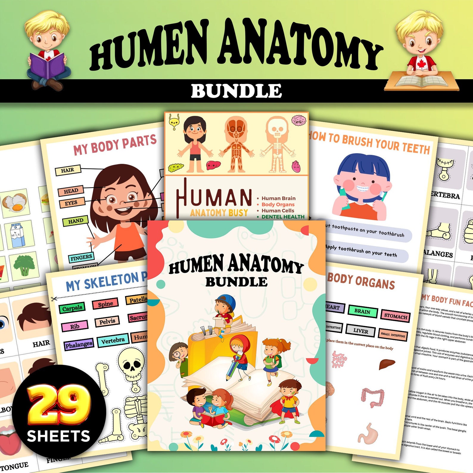 Preschool Sheets, Activity Worksheets, Anatomy Bundle, Human Anatomy ...