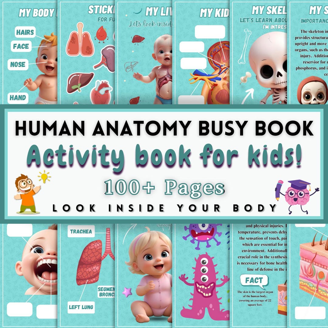 Human Anatomy Busy Book Printable Preschool Worksheets Homeschool ...