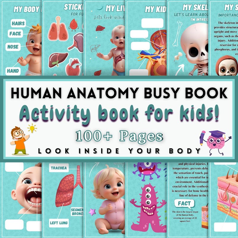 Human Anatomy Printable - Etsy