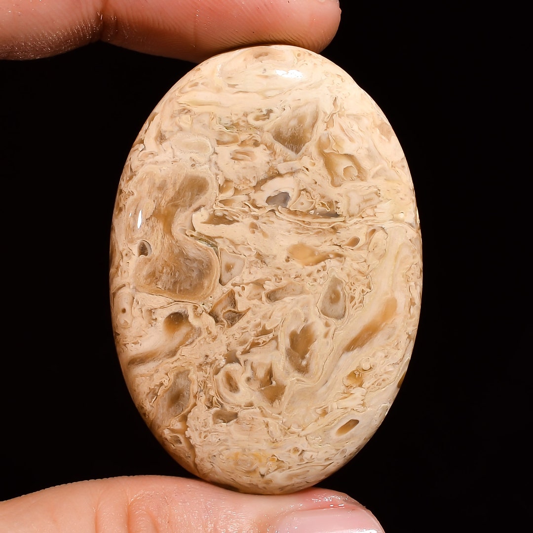 Elegant Top Grade Quality 100% Natural Palm Root Agate Oval Shape ...