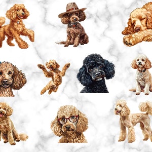 20 Cute Poodle Dog Clip Art Bundle, Instant Download Puppy Designs With ...