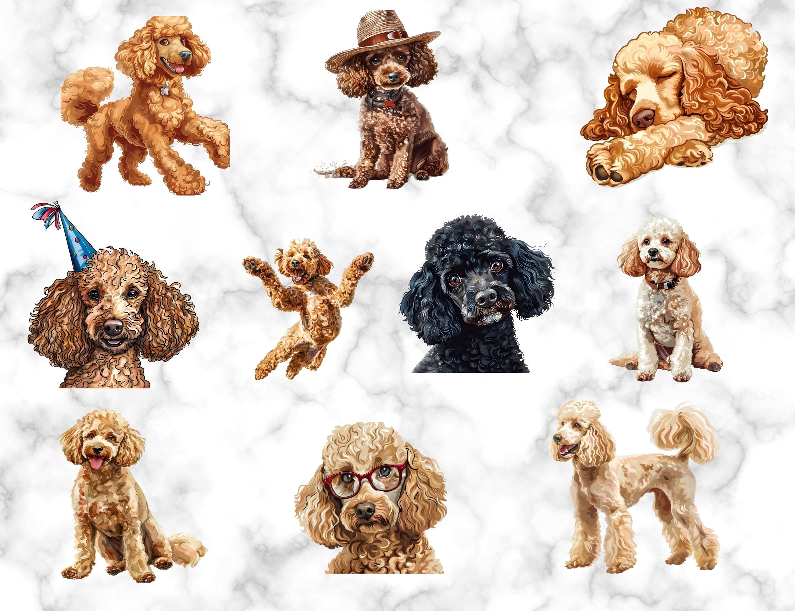 20 Cute Poodle Dog Clip Art Bundle, Instant Download Puppy Designs With ...