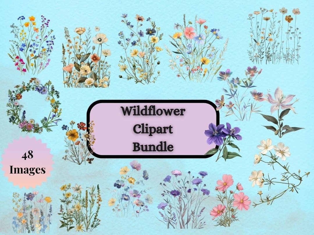 Wildflower Clip Art Bundle, Floral Designs Instant Download Png ...