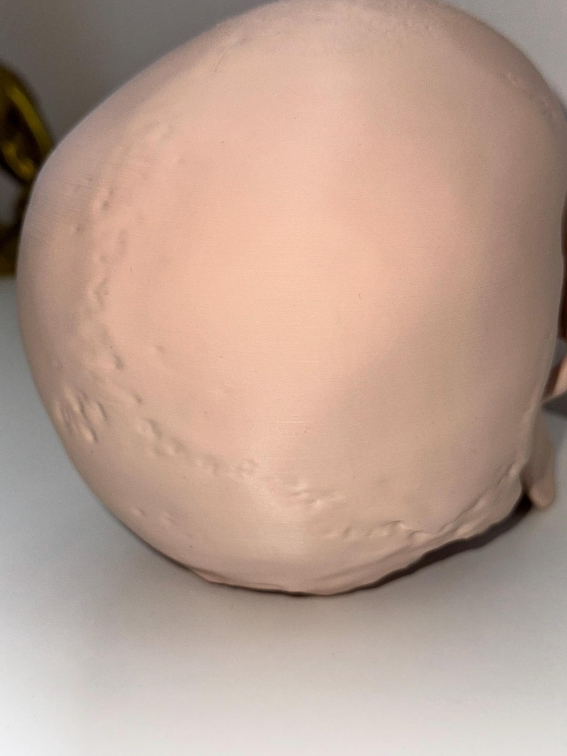 LIFE-SIZE 3D Printed Skull | Anatomical Model | Realistic Human Skull ...