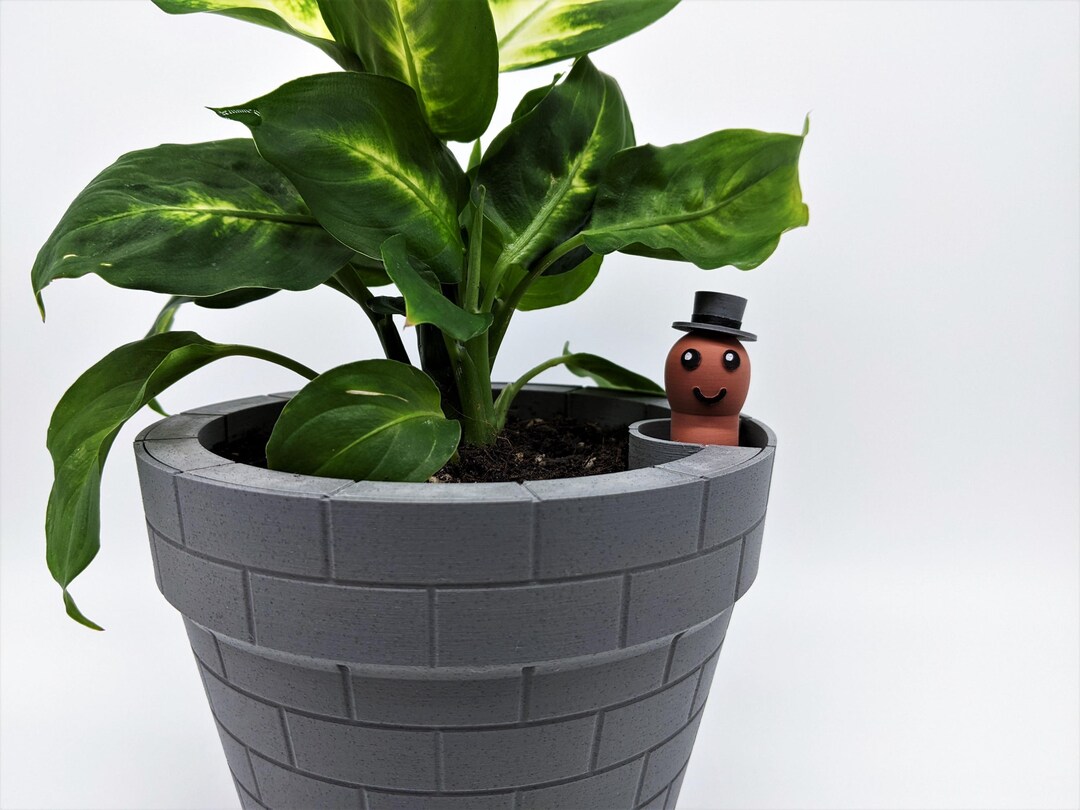 3D Printed Plant Pot With Earthworm Water Level Buddy - Funny Indoor ...