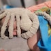 Crochet Alien Face Hugger Pattern: Sci-fi Plushie DIY (PDF Pattern) - Etsy