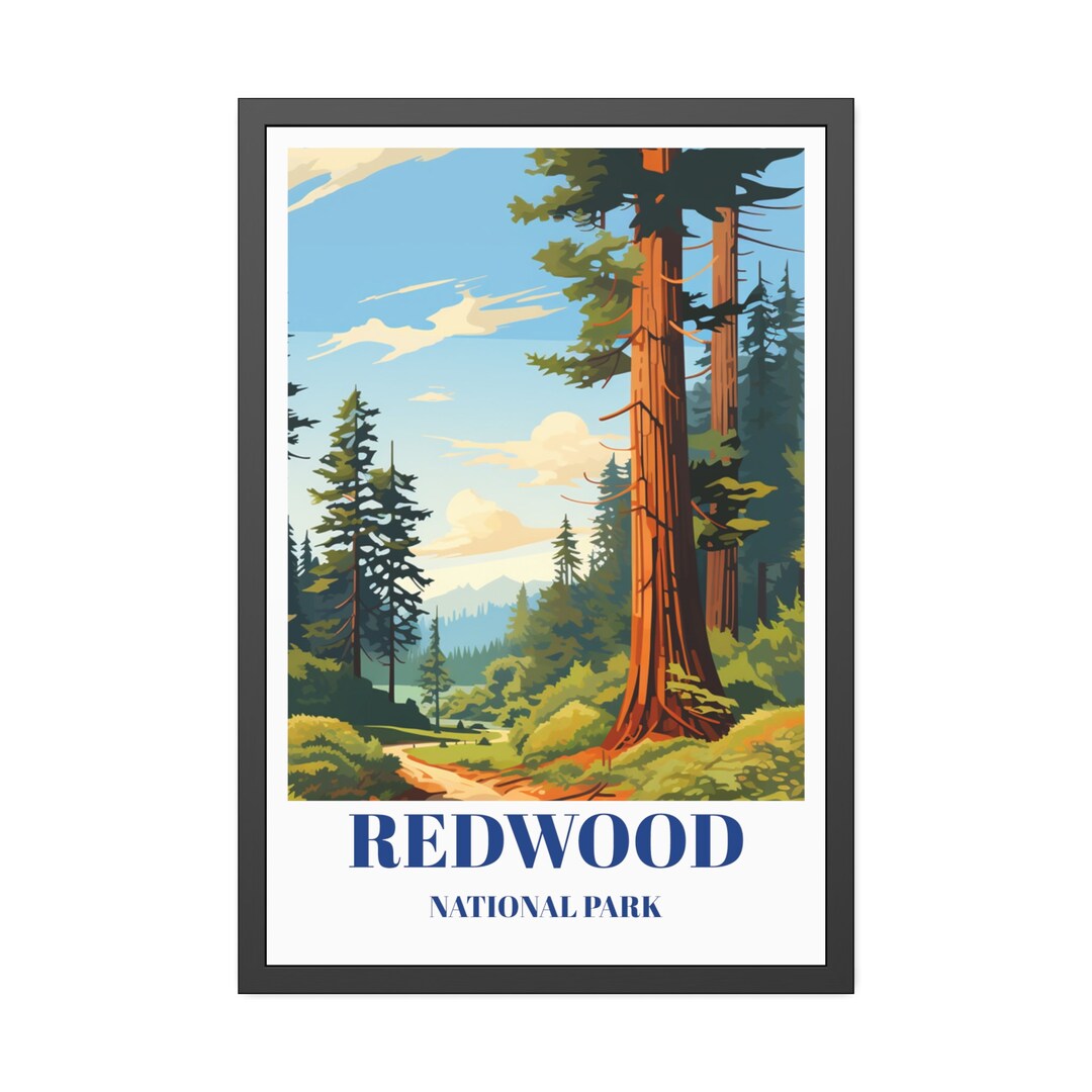 Redwood National Park Travel Poster: California Nature Art Print - Etsy