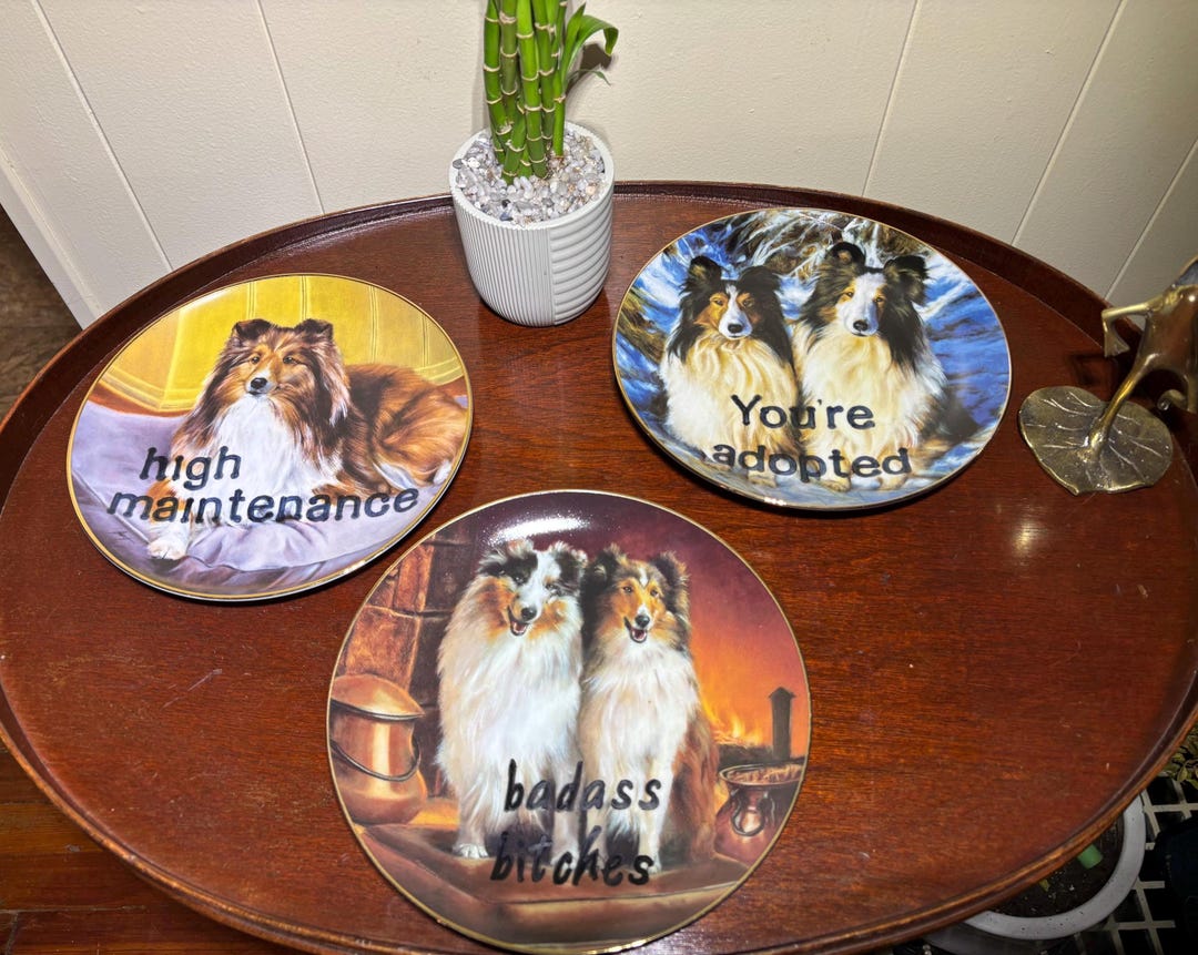 Funny/offensive Dog Plates - Etsy