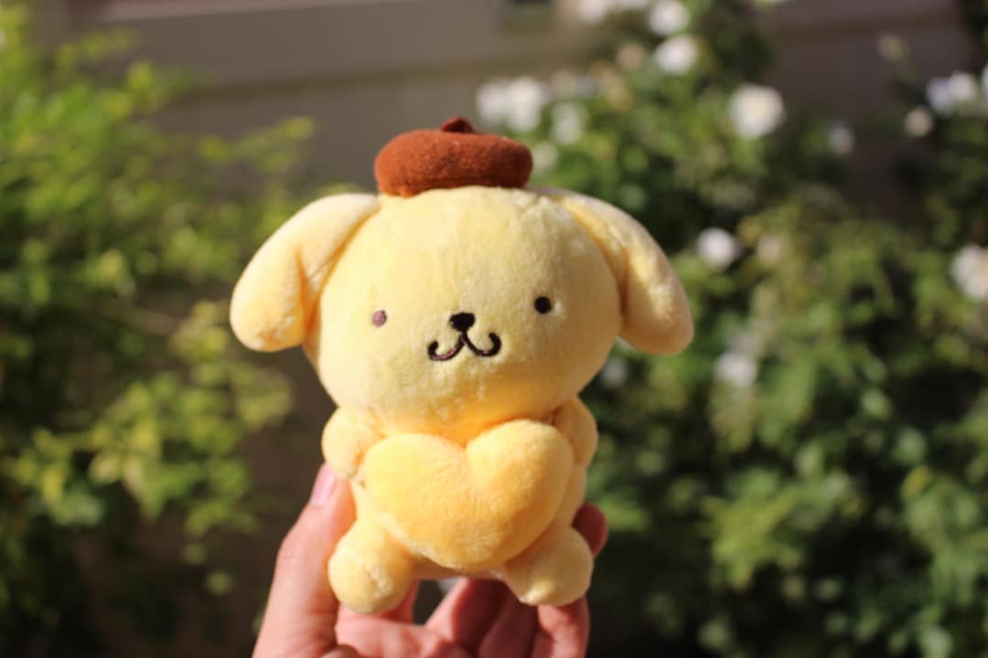 Sanrio Pompompurin Plushie Sanrio Heart Series Sanrio - Etsy