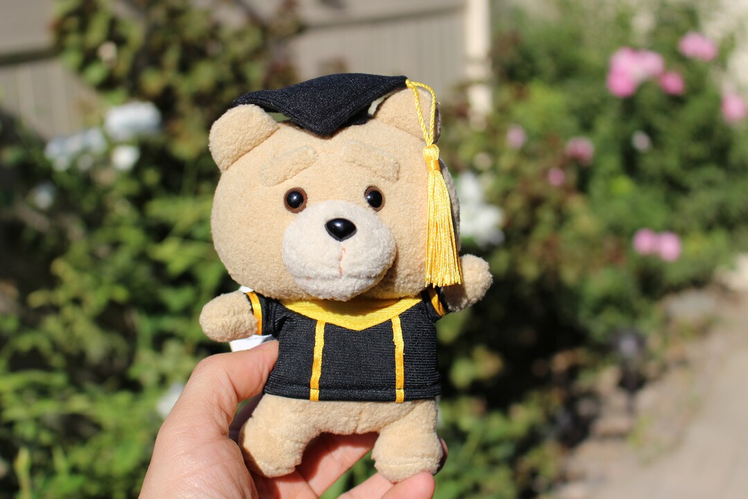 Ted2 Bear Plushie Ted2 Bear Graduation Cap Ted Bear Kawaii - Etsy