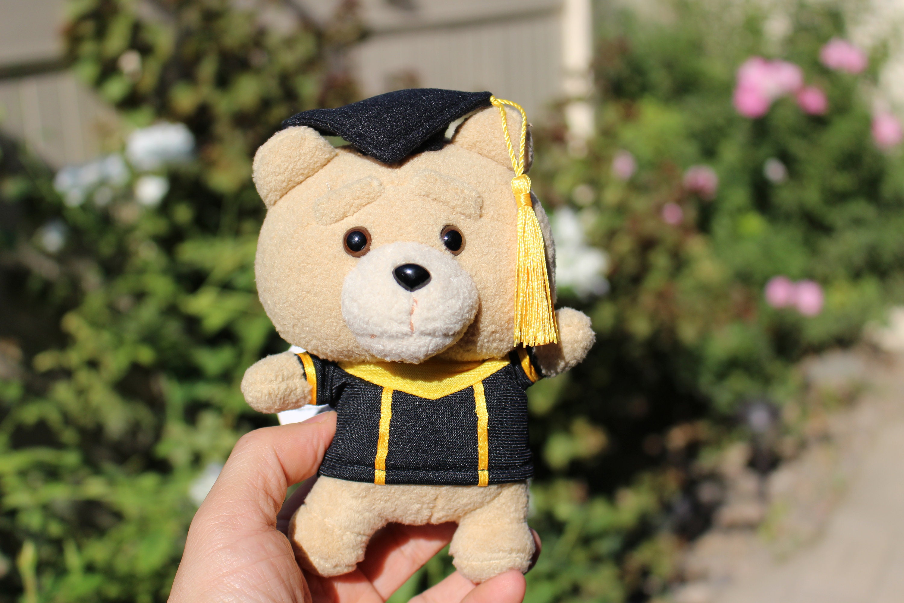 Ted2 Bear Plushie Ted2 Bear Graduation Cap Ted Bear Kawaii - Etsy