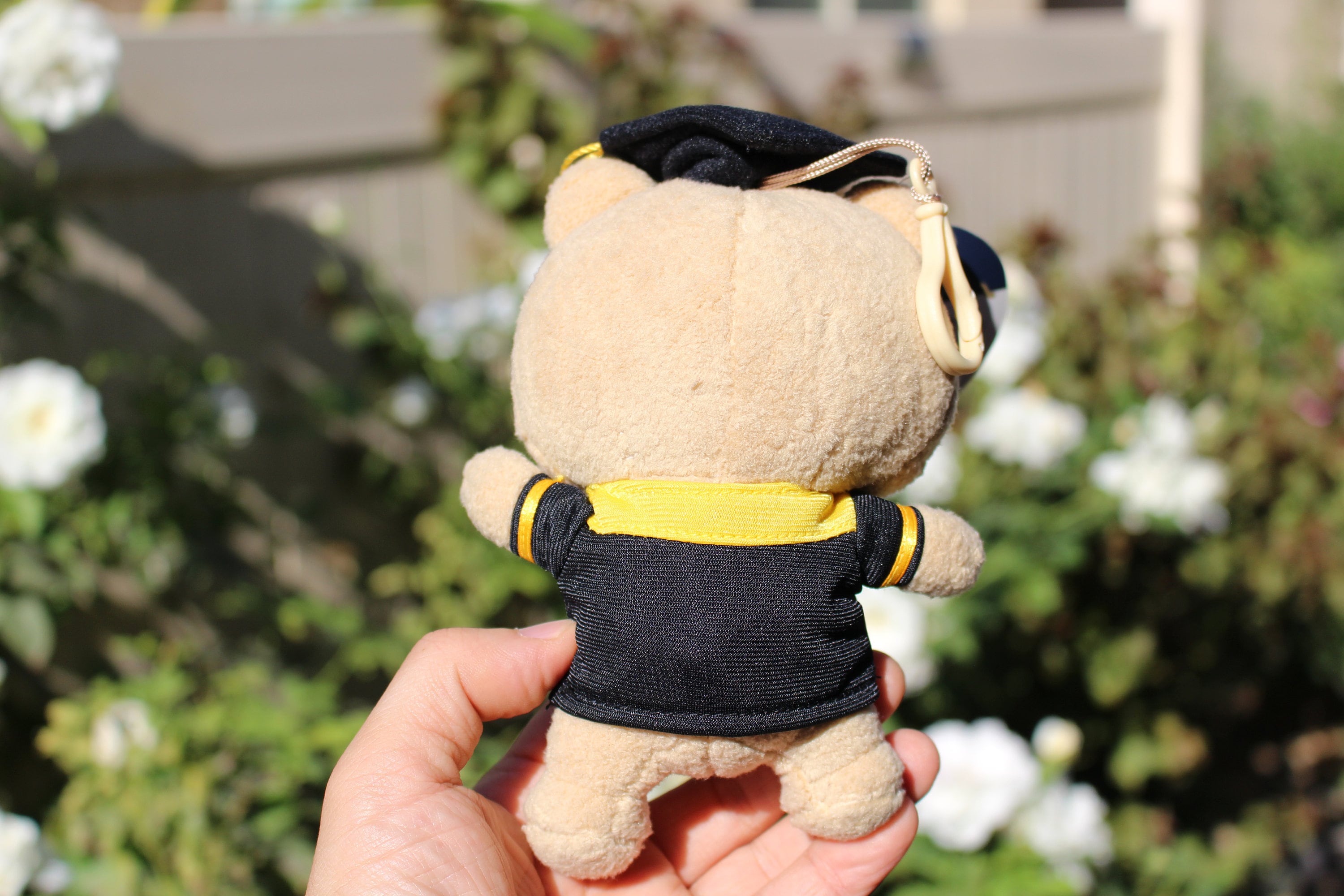 Ted2 Bear Plushie Ted2 Bear Graduation Cap Ted Bear Kawaii - Etsy