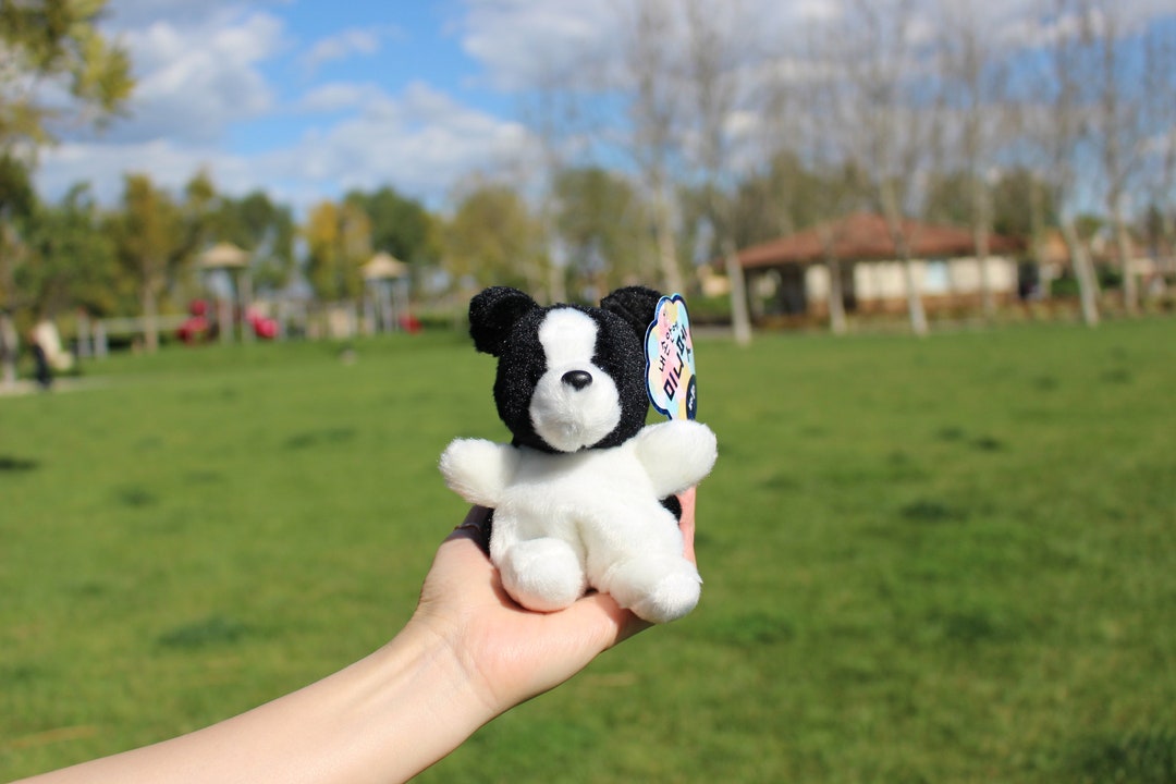 Mini Pet Plushie, Border Collie, Kawaii Plush, Cute Doll, A Doll That ...