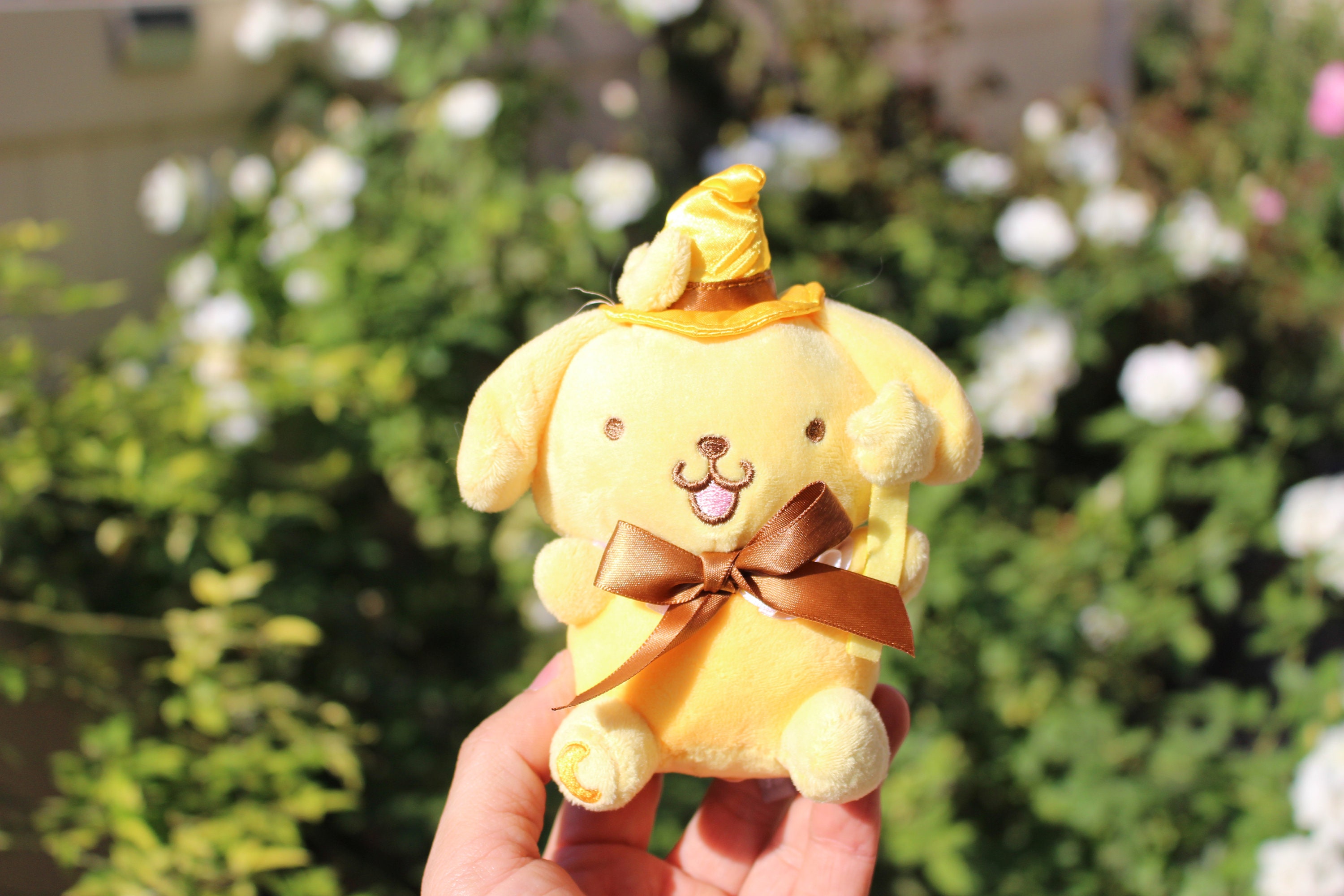 Sanrio Pompompurin Plushie, Sanrio Wizard Series, Sanrio, Kawaii Sanrio ...