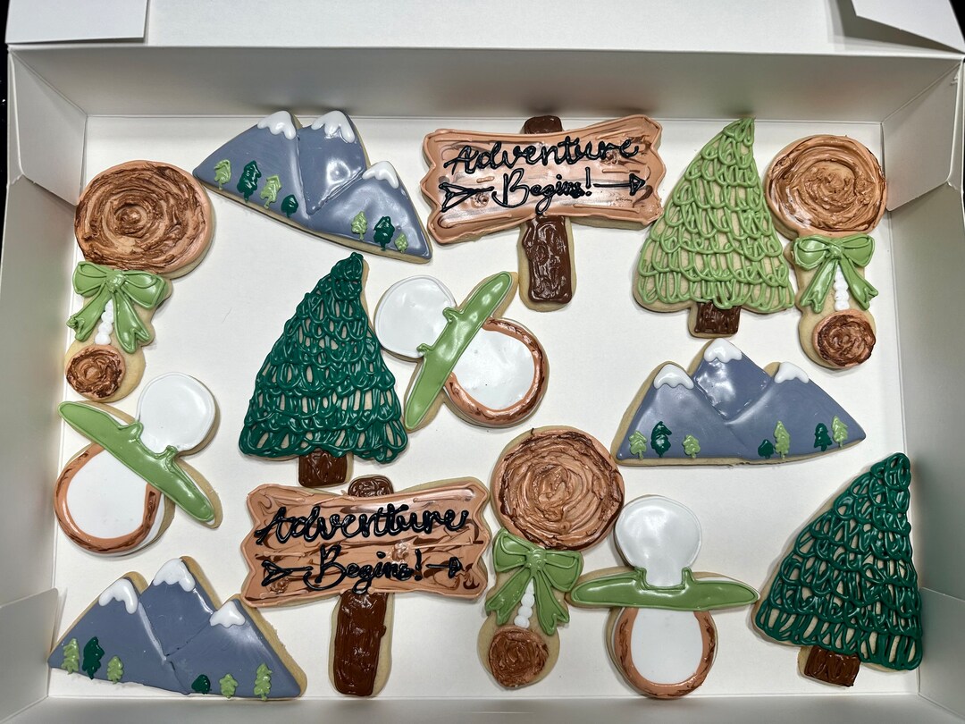 Adventure Baby Shower Cookies 1 DOZEN - Etsy