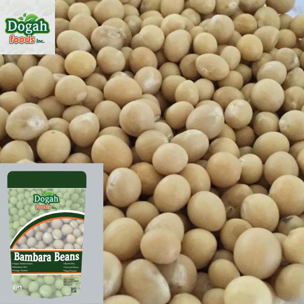 Bambara Beans 1lbs Okpa-african Yellow Beans OKPA Beans-ghanaian ...