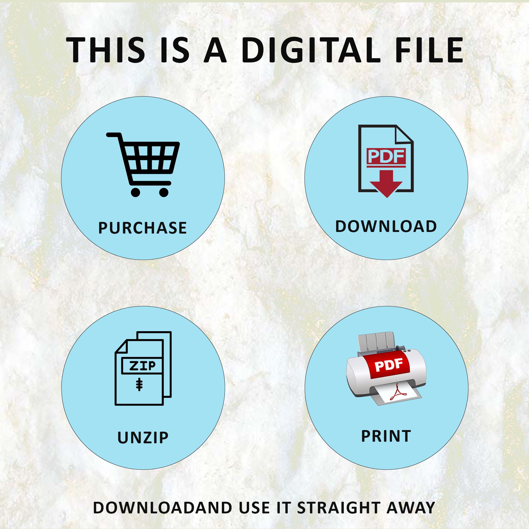 2024 Printable Wall Calendar, 2024 Instant Digital PDF Download, 2024 ...