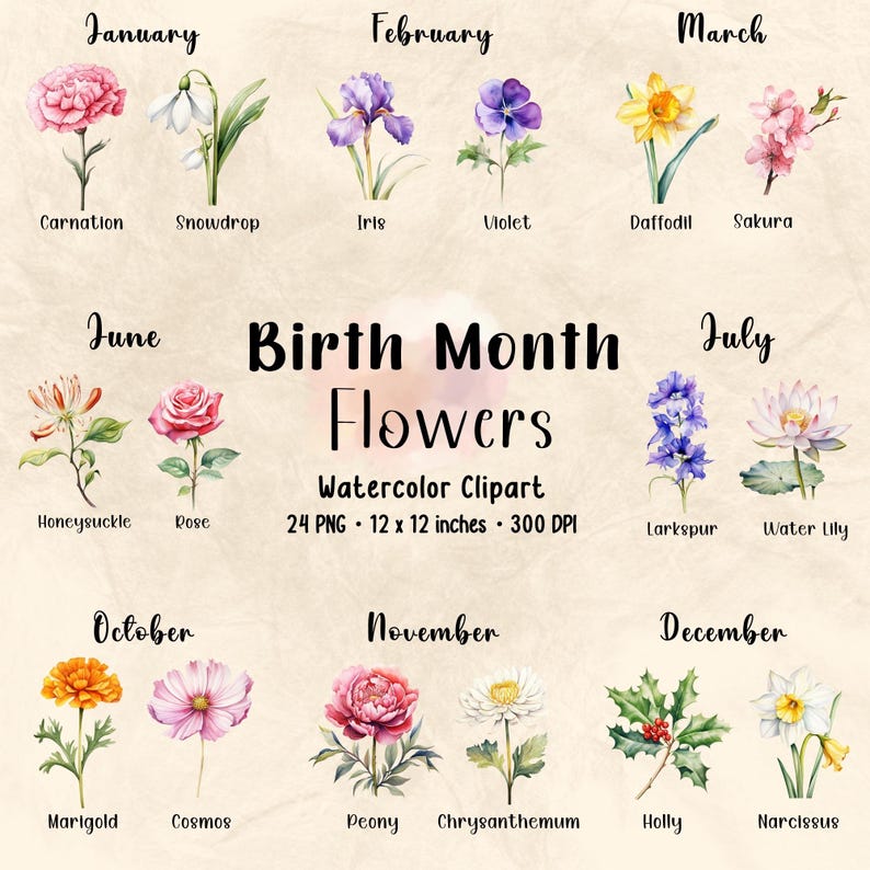 Watercolor Birth Month Flowers Clipart Bundle (PNG) - Etsy