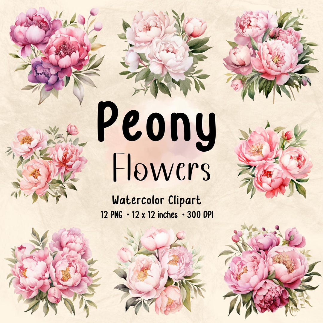 Peony Flowers Clipart | Watercolor Clipart | Flower PNG | Floral PNG ...