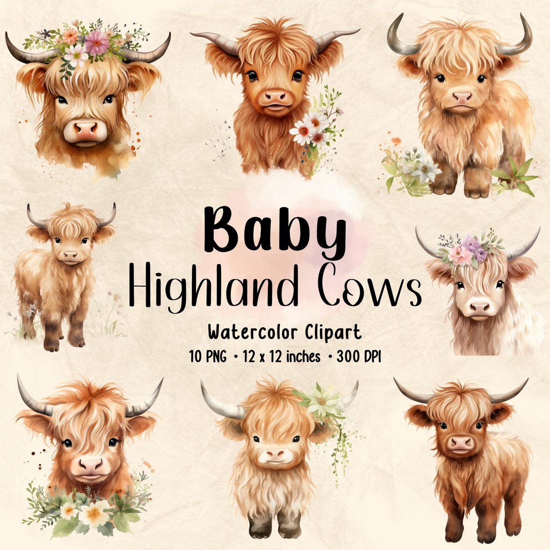 Watercolor Baby Highland Cow Clipart Bundle (digital Download) - Etsy