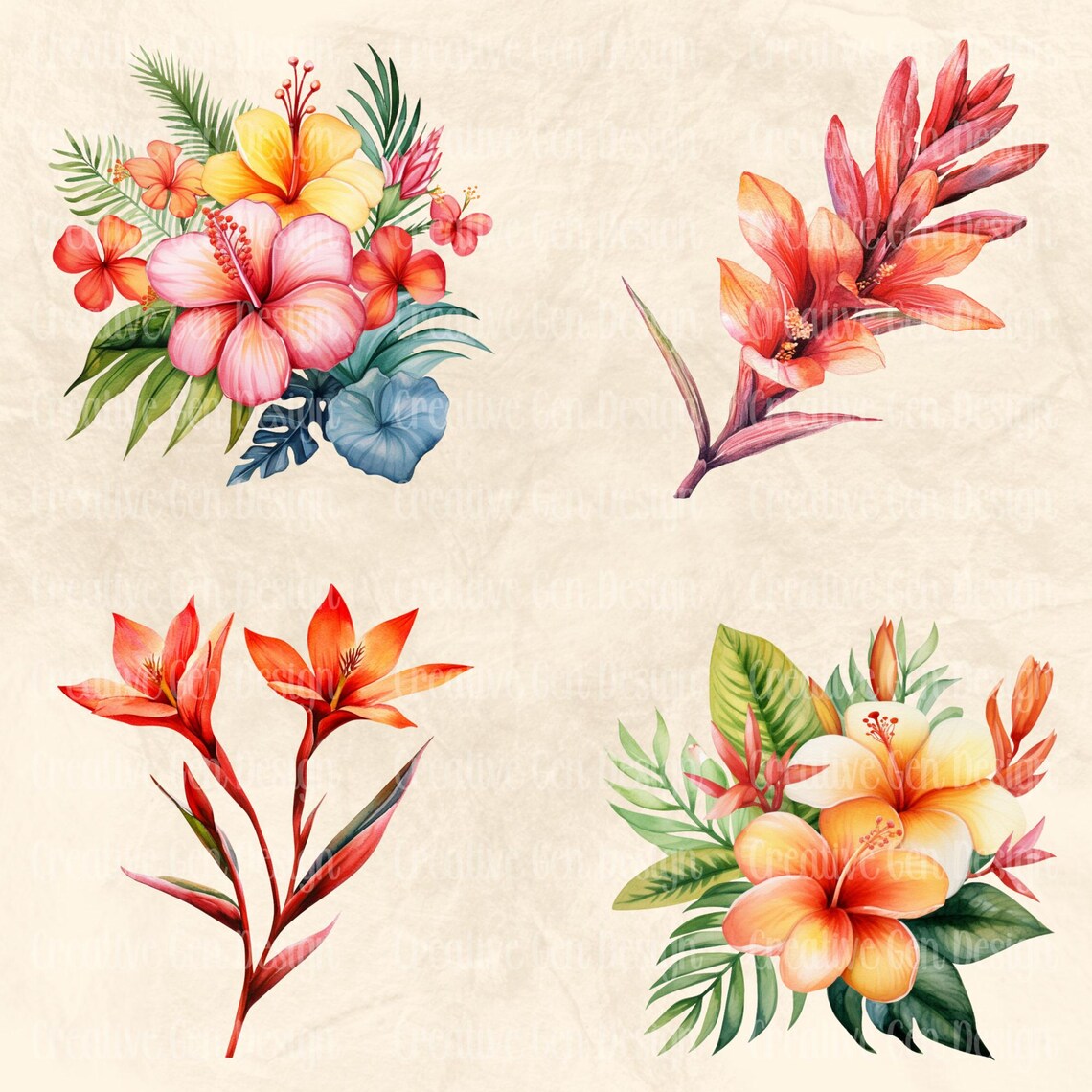 Tropical Flower Watercolor Clipart: PNG Floral Bundle (digital Download ...