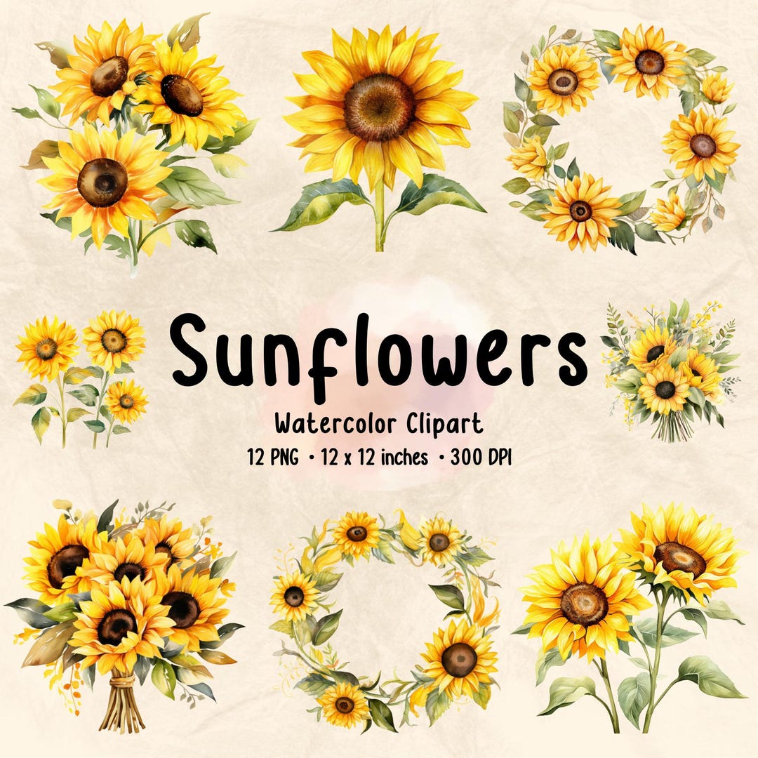 Watercolor Sunflowers Clipart: Floral PNG Bundle (digital Download) - Etsy