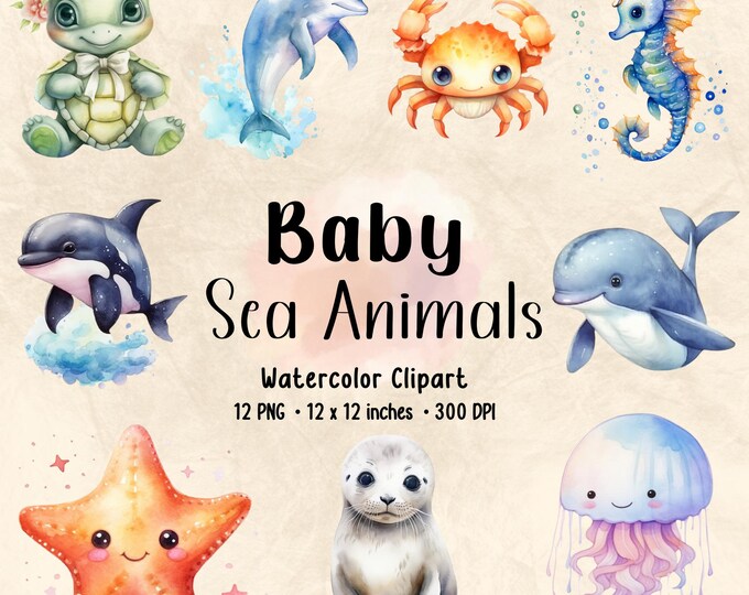 Watercolor Baby Sea Animals Clipart PNG Clipart Bundle, Instant ...