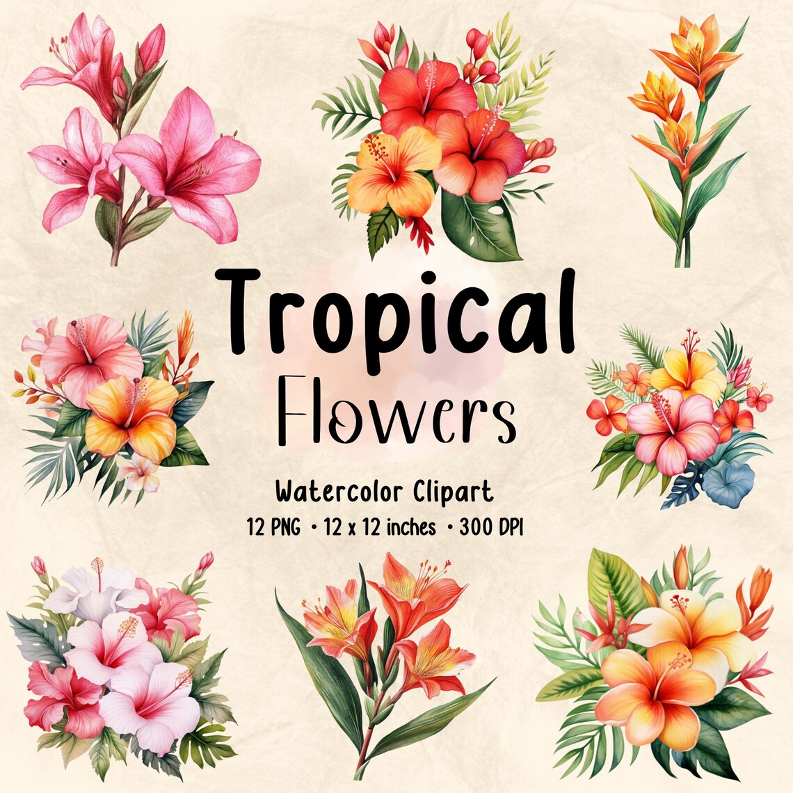 Tropical Flower Watercolor Clipart: PNG Floral Bundle (digital Download ...