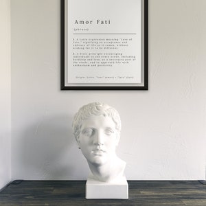 Amor Fati Definition Poster, Inspirational Stoic Quotes Printable Art ...