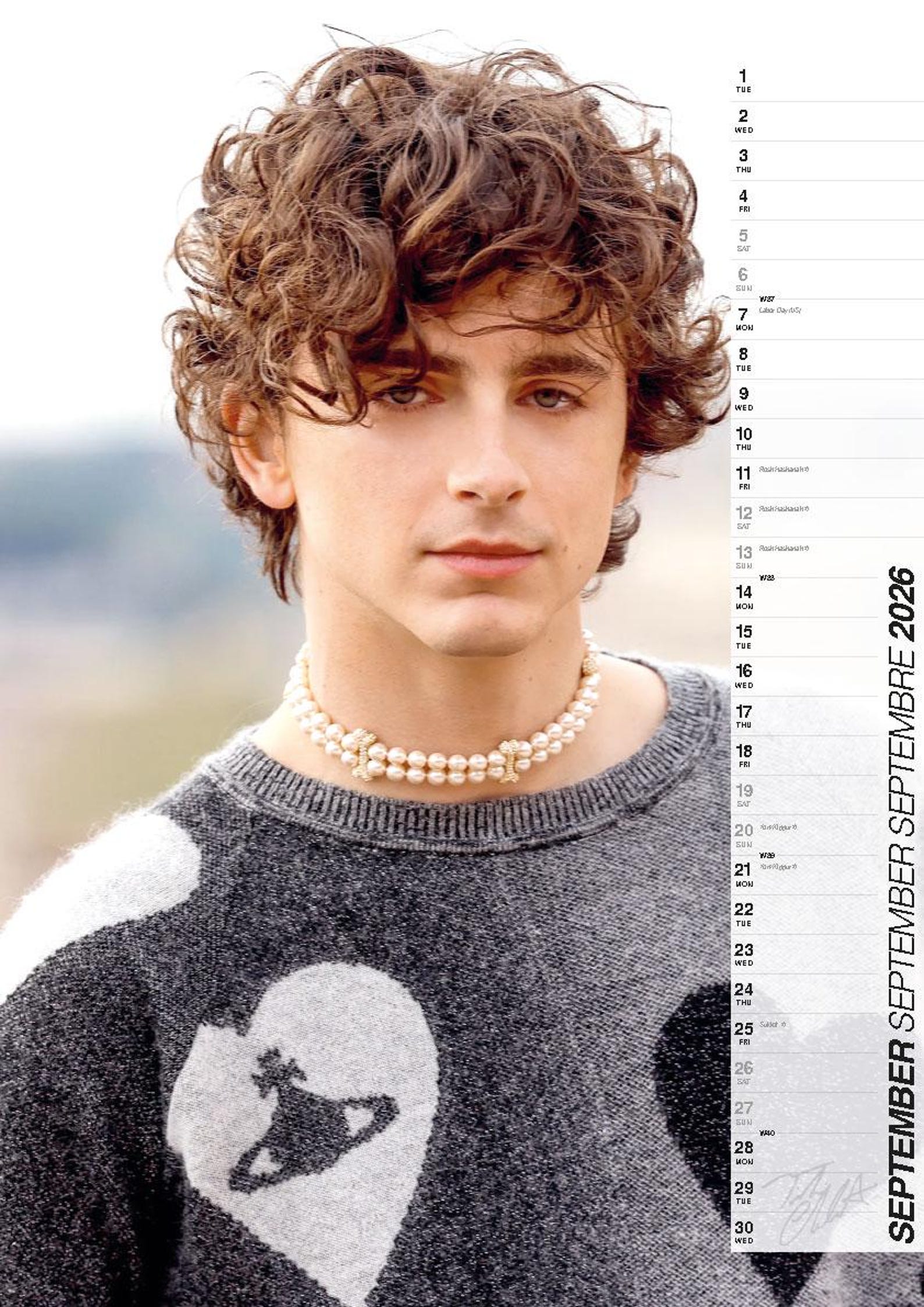 Timothée Chalamet Calendar 2026 - Merch - Fan Merchandise - Etsy
