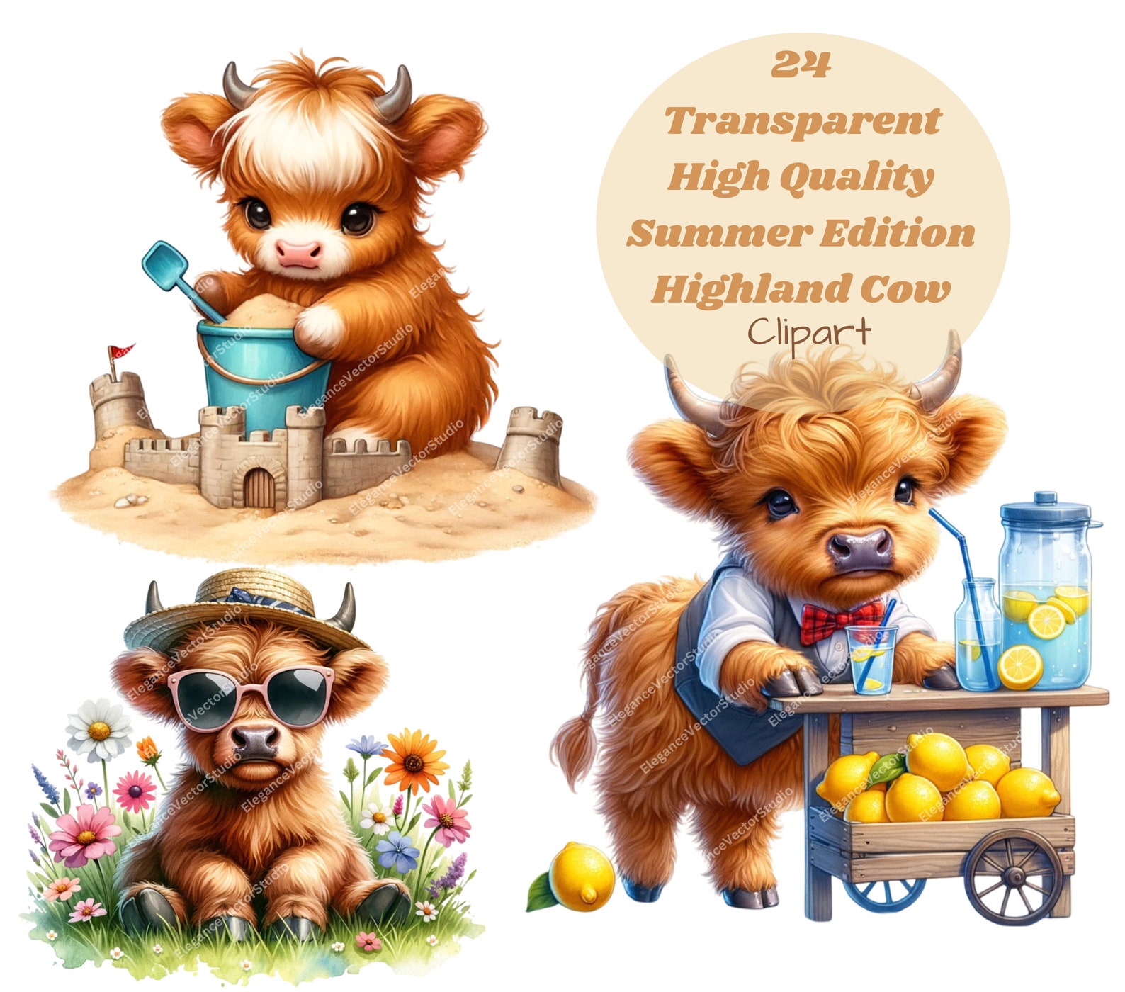 Summer Highland Cow Clipart Bundle, Baby Highland Cow Graphic, Summer ...