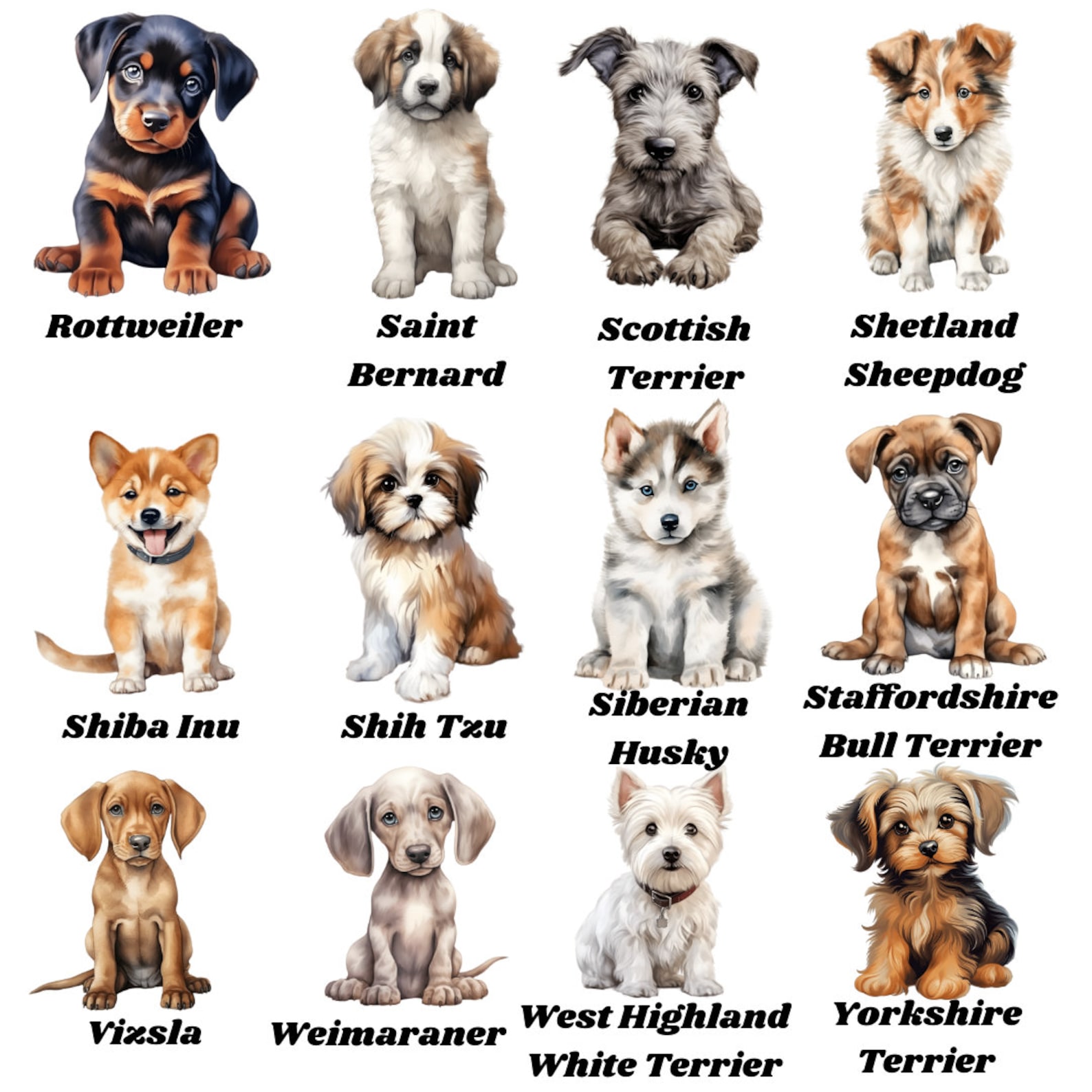 Watercolor Puppy Clipart, 60 Dog Breeds Clipart Bundle, Dog Cub Clipart ...
