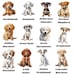Watercolor Puppy Clipart, 60 Dog Breeds Clipart Bundle, Dog Cub Clipart ...