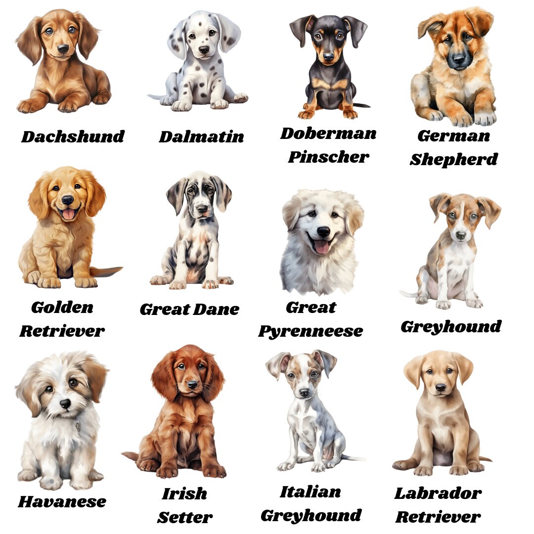 Watercolor Puppy Clipart, 60 Dog Breeds Clipart Bundle, Dog Cub Clipart ...