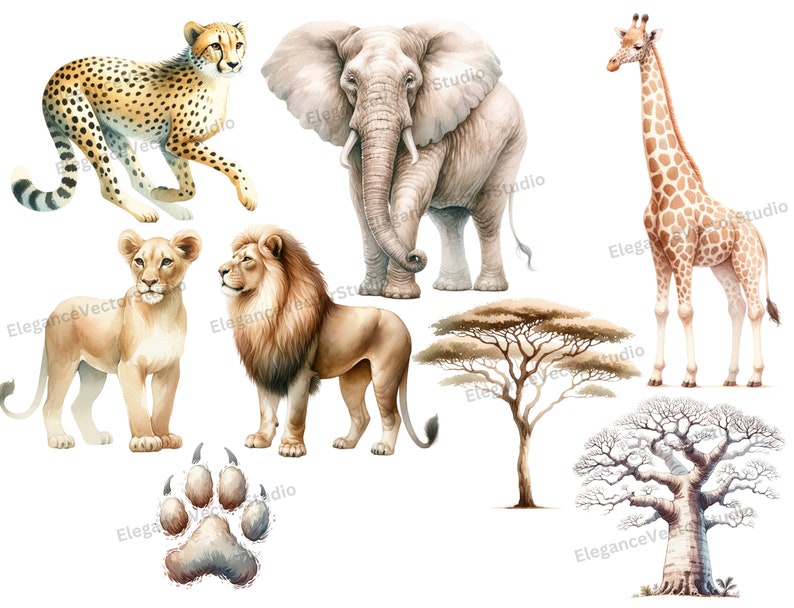 Watercolor Safari Clipart Bundle, Safari Adult DIY Elements, Set of 45 ...