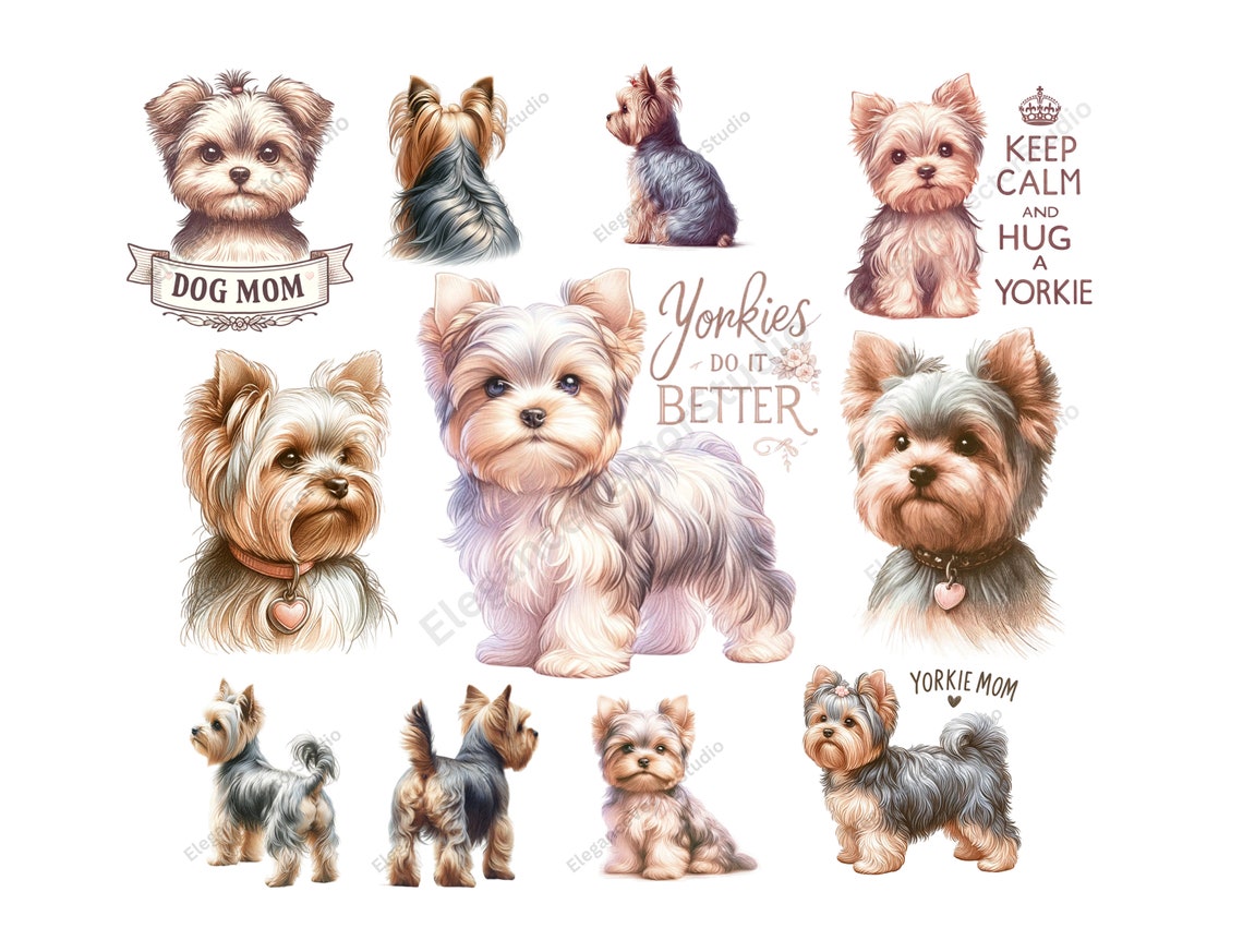 Hand Drawn Yorkie Clipart Bundle: 32 PNG Images (digital Download) - Etsy