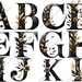 Black and Gold Floral Alphabet Clipart: PNG Monogram (digital Download ...