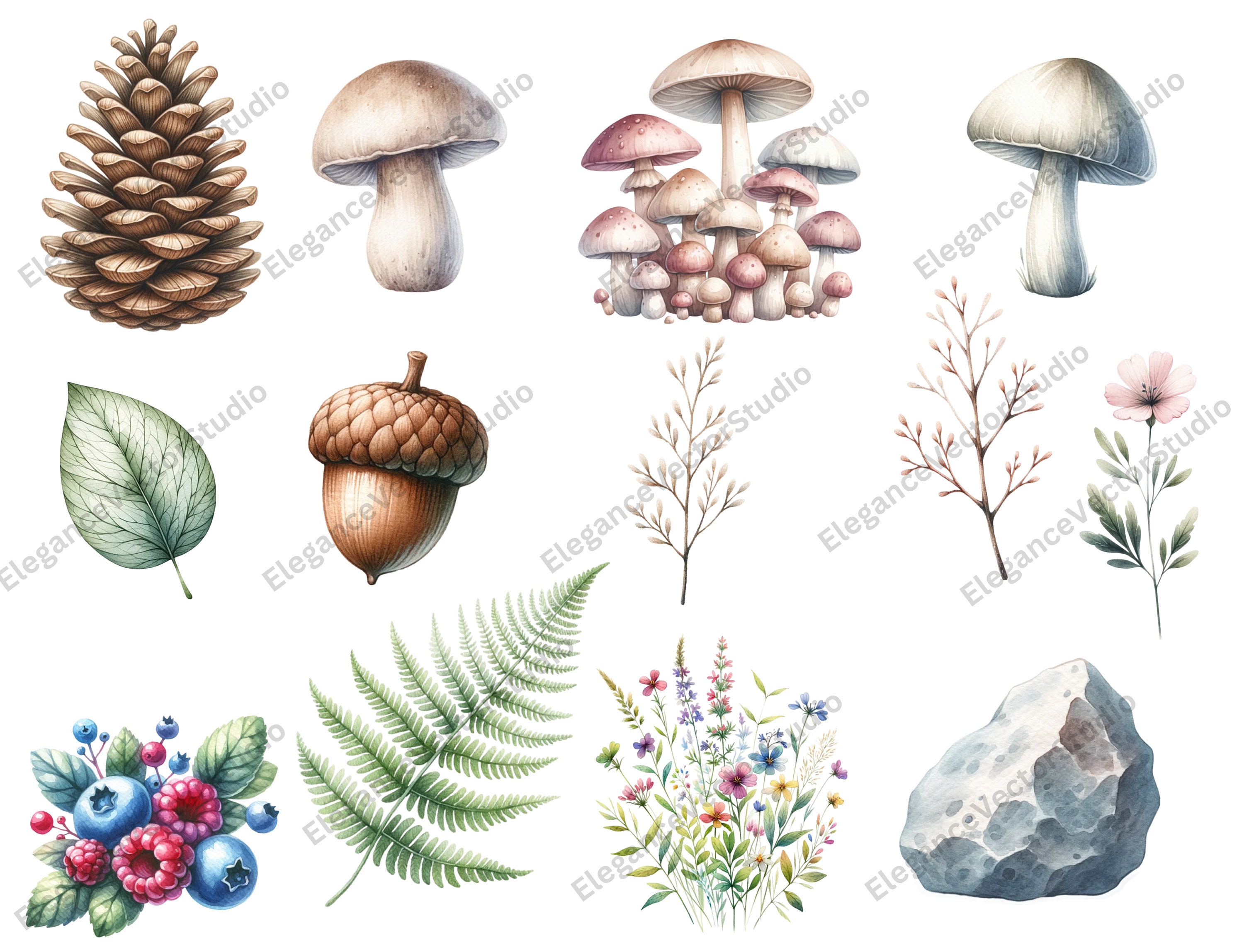 Woodland Animals, Watercolor Forest Animals PNG, Nursery Clipart ...