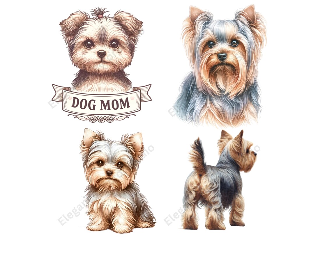 Hand Drawn Yorkie Clipart Bundle: 32 PNG Images (digital Download) - Etsy