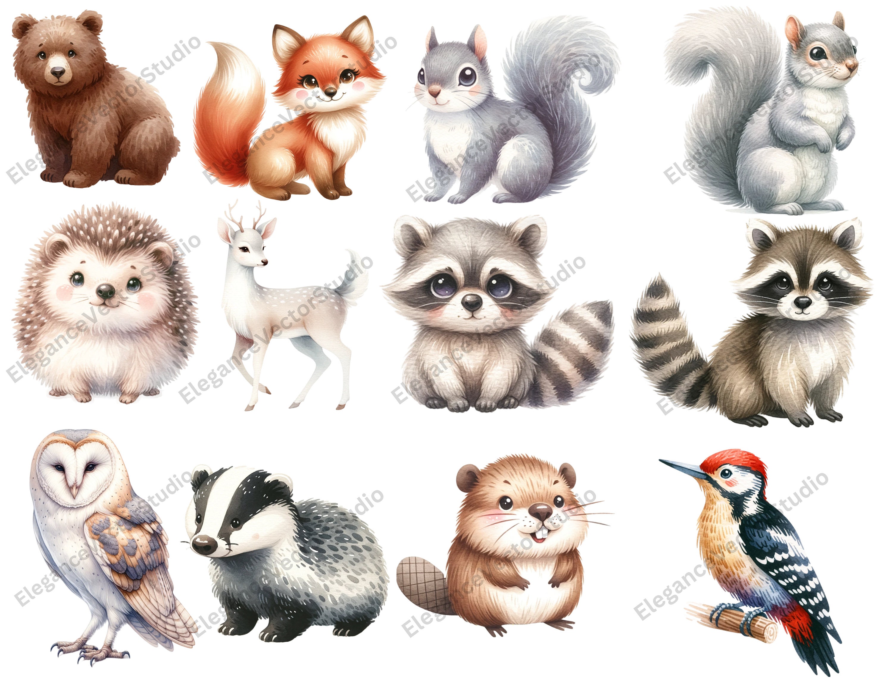 Woodland Animals, Watercolor Forest Animals PNG, Nursery Clipart ...